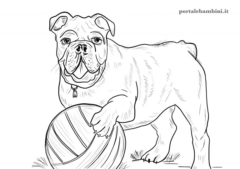 Disegni Cani da Colorare - Stampa gratis