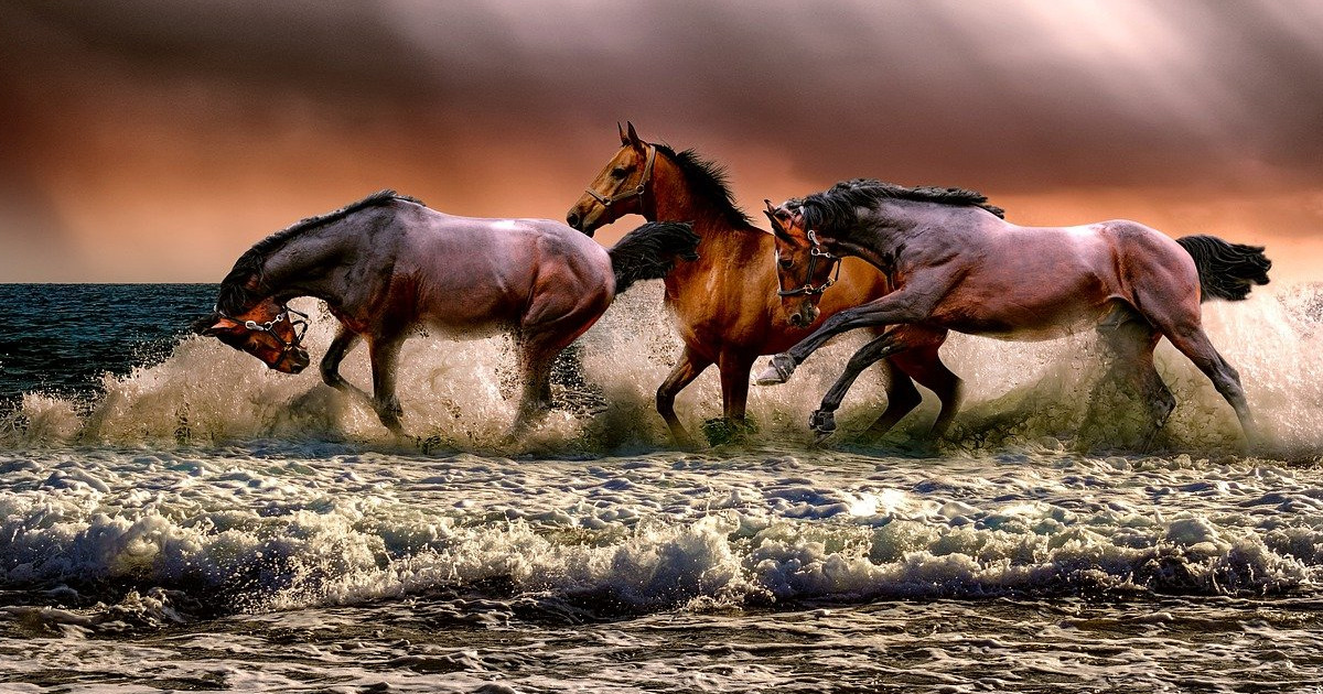 Parole con GA GO GU: elenco e schede didattiche | portalebambini.it