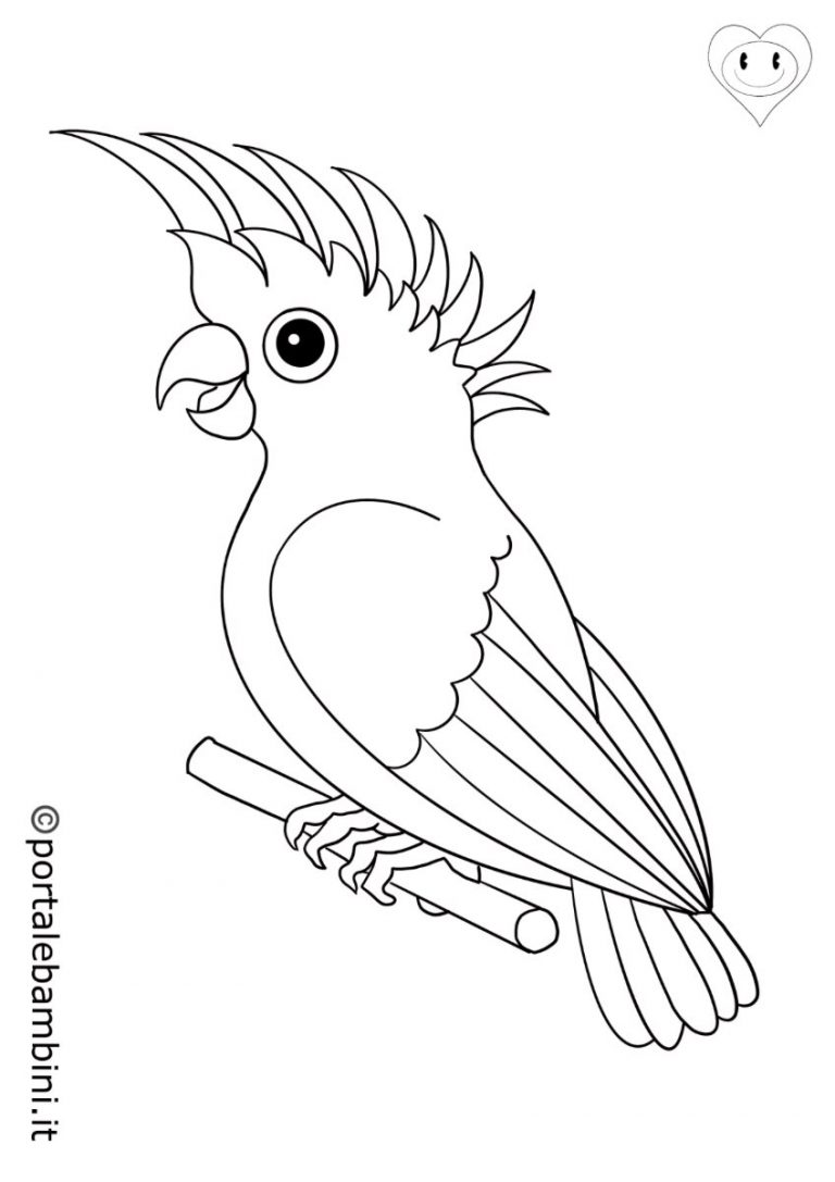 Pappagalli da Colorare (stampa gratis) | portalebambini.it