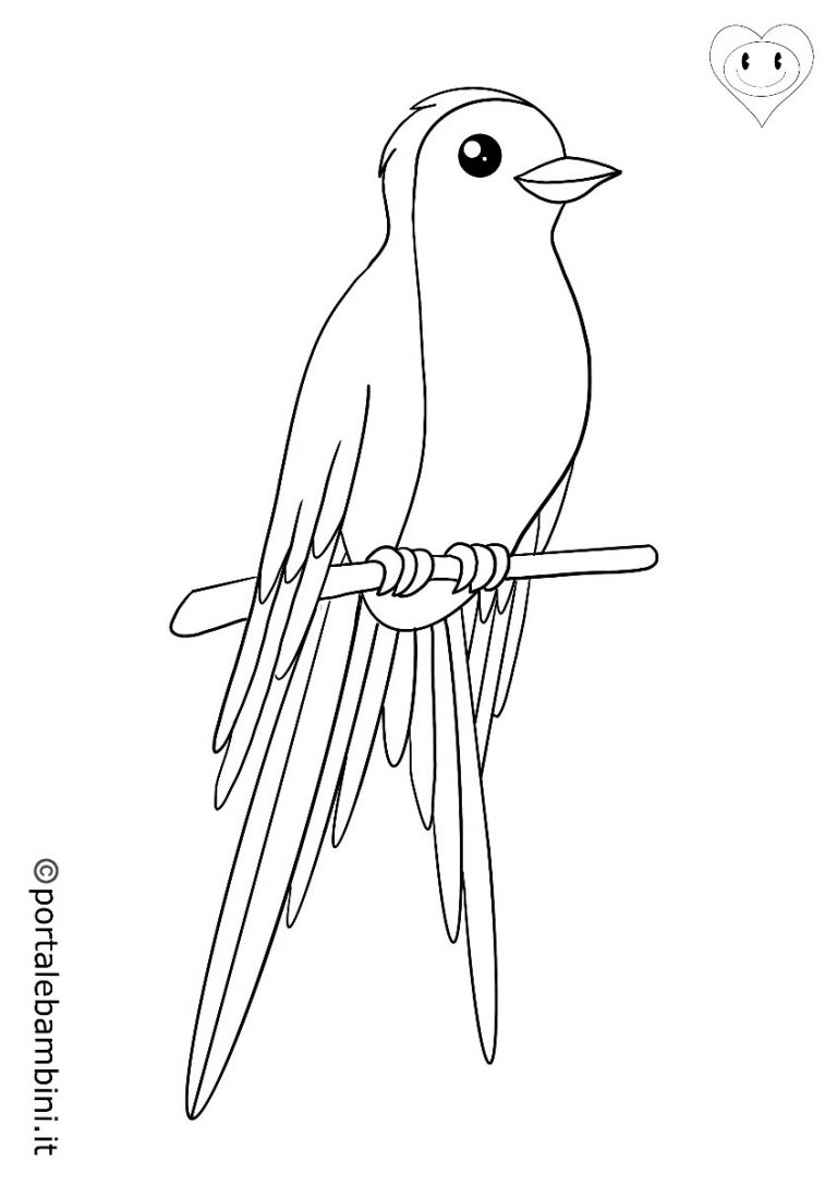 Uccelli da Colorare (stampa gratis) | portalebambini.it