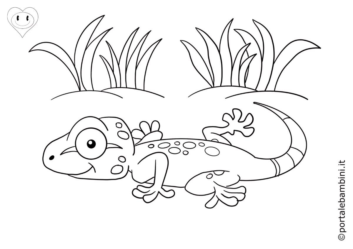 Geco da Colorare (stampa gratis) | portalebambini.it
