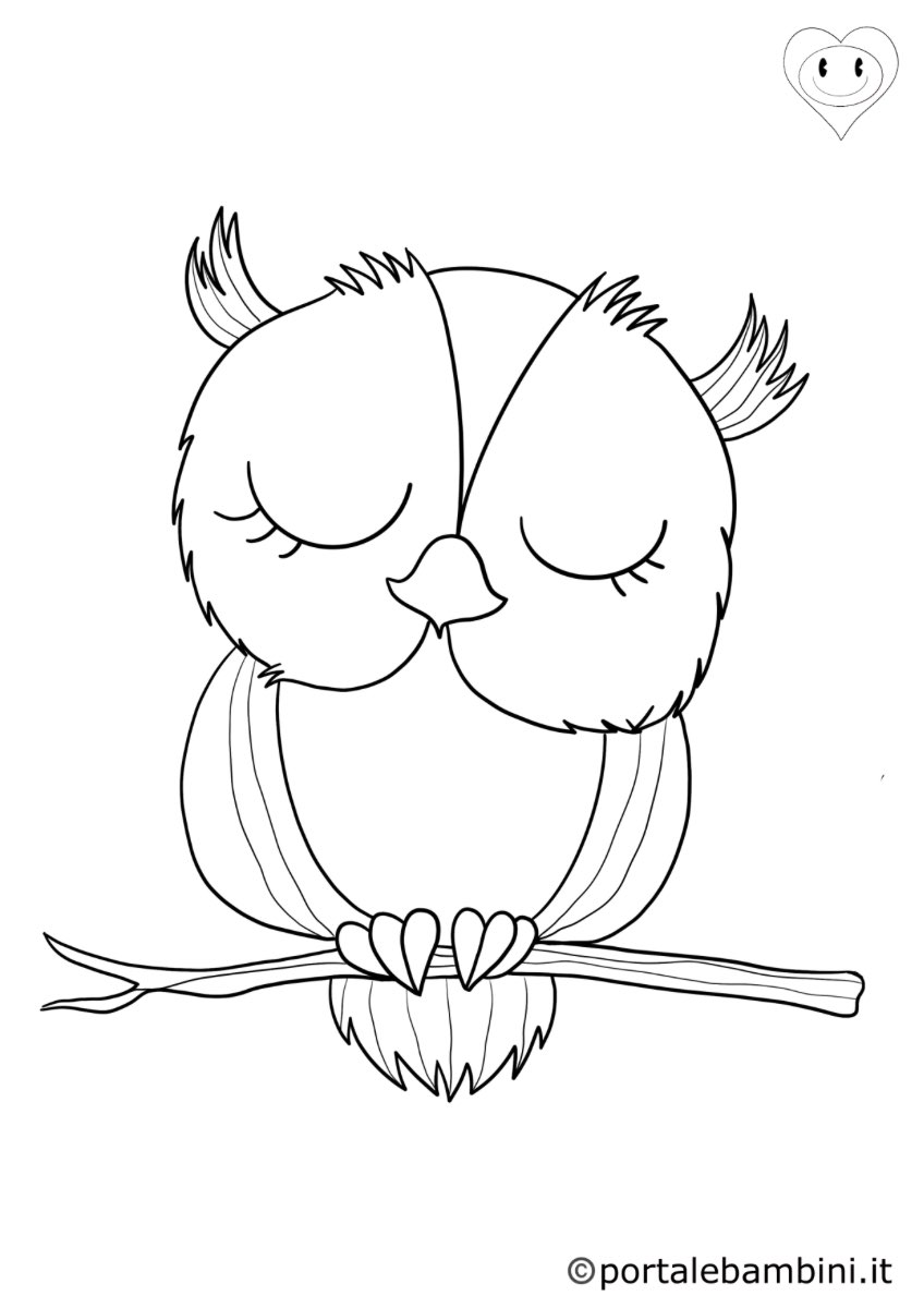 Disegni Gufi da Colorare - Stampa Gratis
