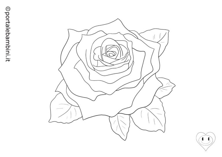 Rose da Colorare (stampa gratis) | portalebambini.it