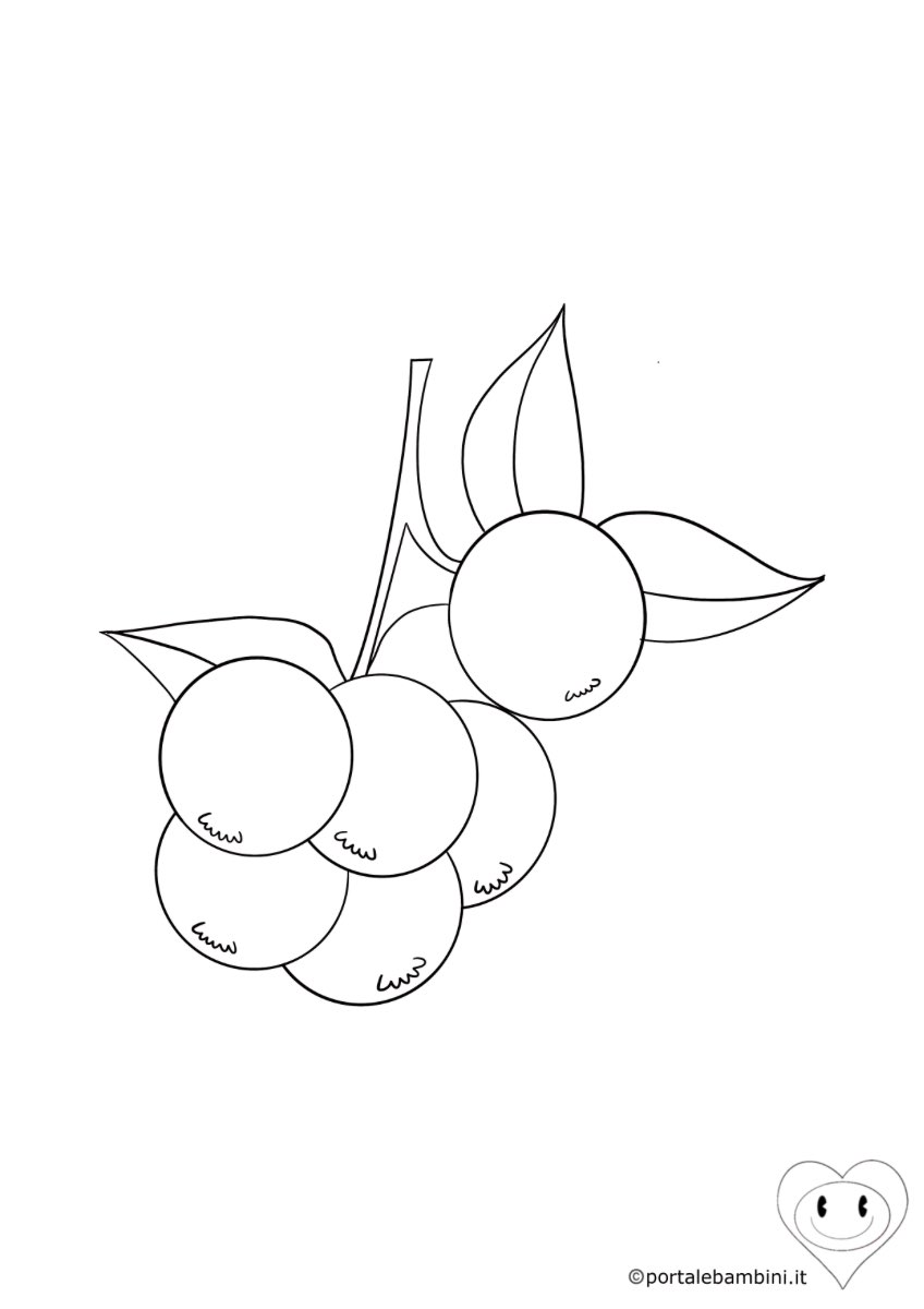 Mirtilli da Colorare (stampa gratis) | portalebambini.it