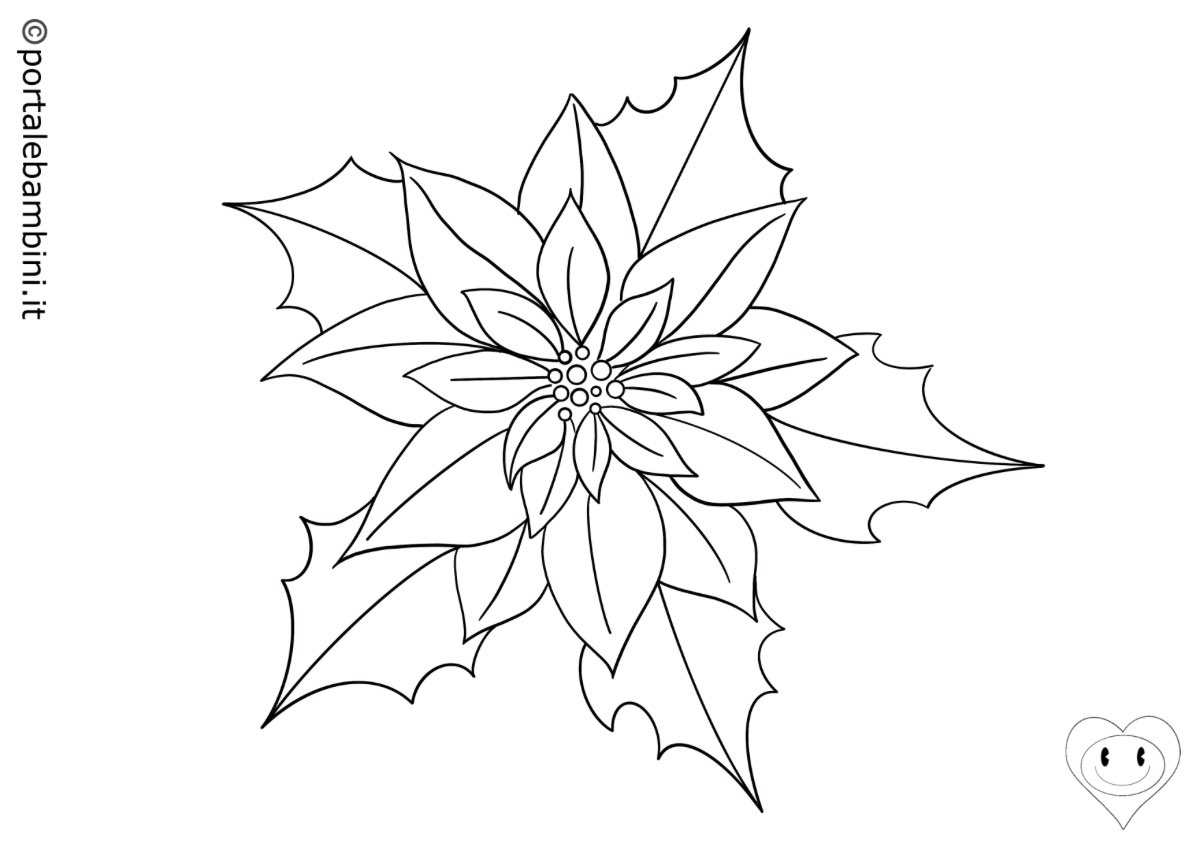 Stelle di Natale da Colorare | portalebambini.it