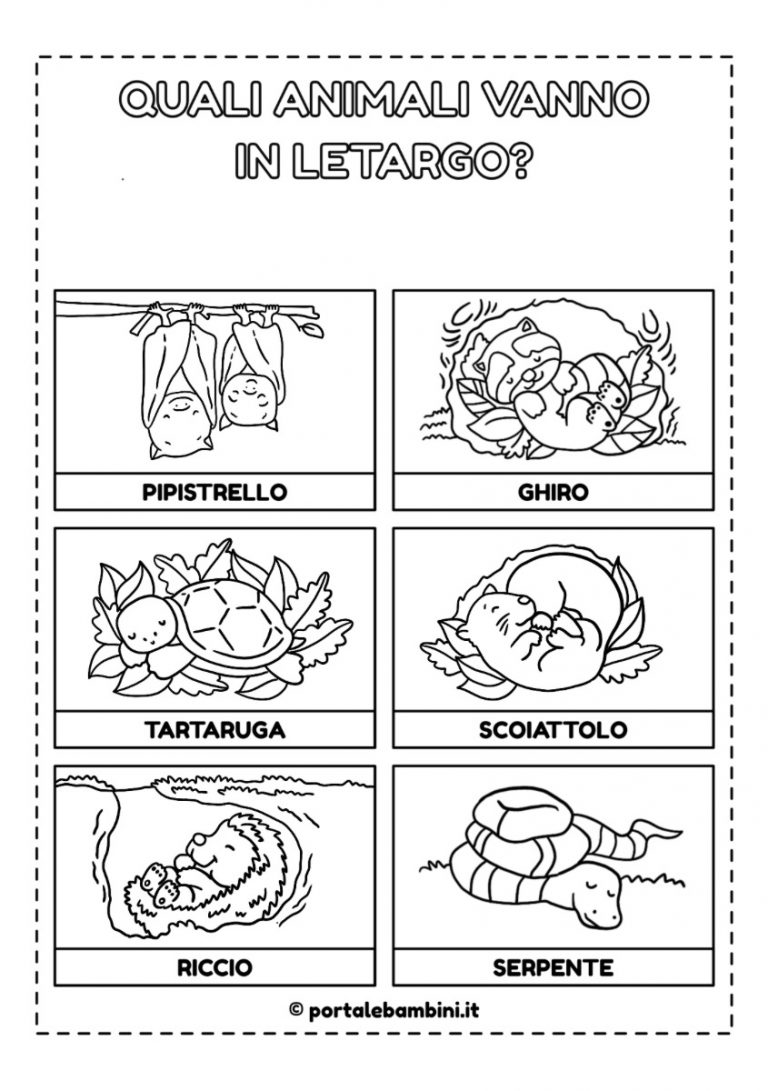 Animali in Letargo da Colorare | portalebambini.it
