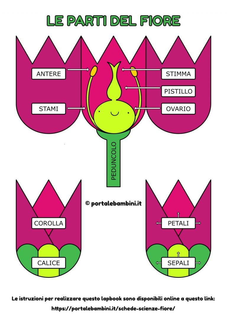 Le Parti del Fiore (con Lapbook)