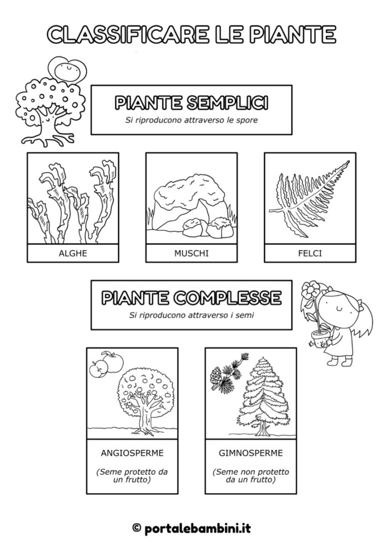 Le Piante - Schede Didattiche per la Scuola Primaria