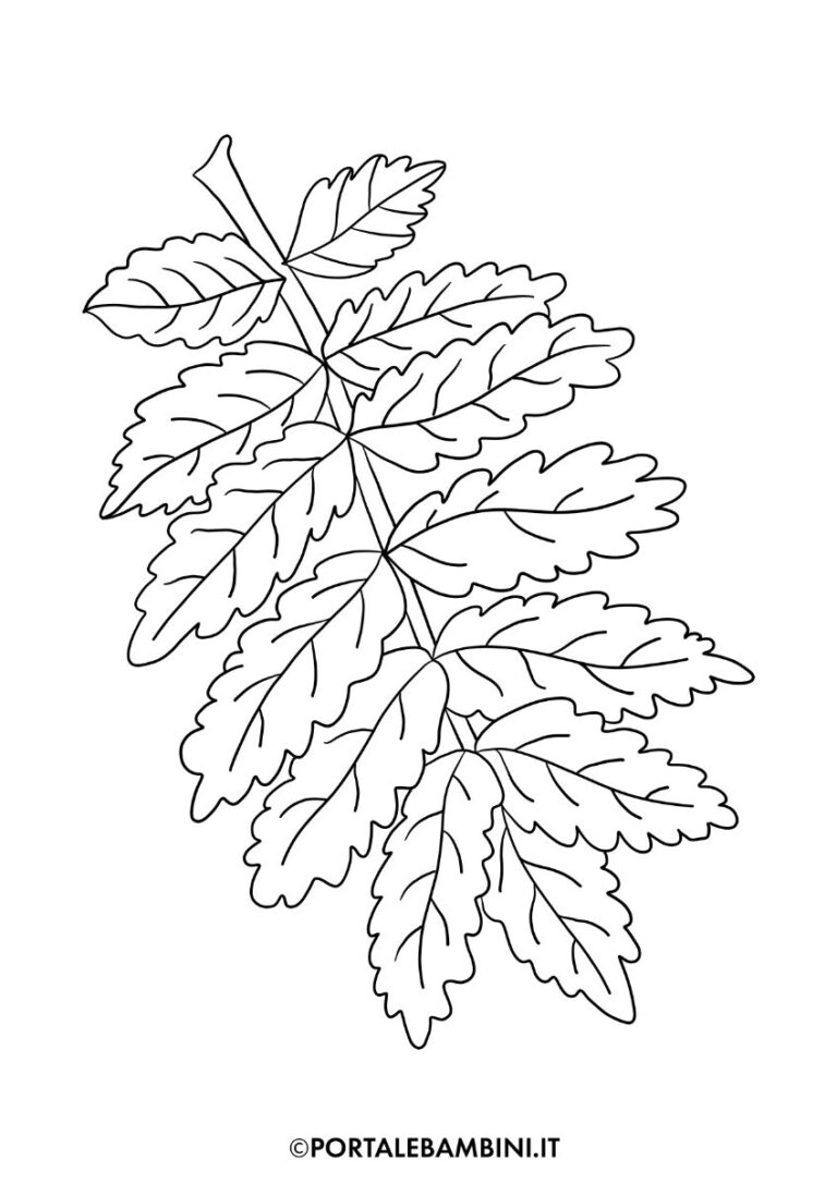 Disegni Foglie da Colorare - Stampa Gratis