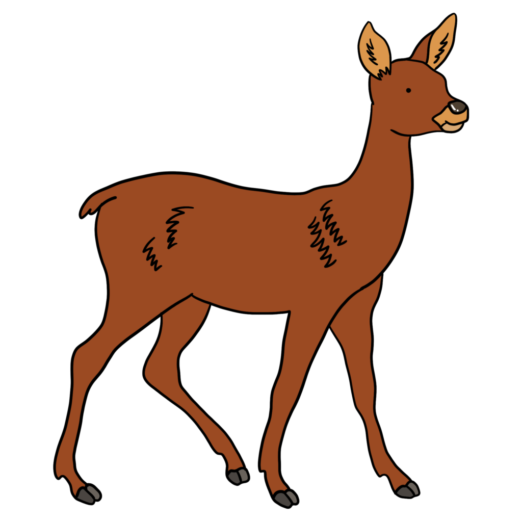 Animali di Montagna: Specie e Curiosità | portalebambini.it