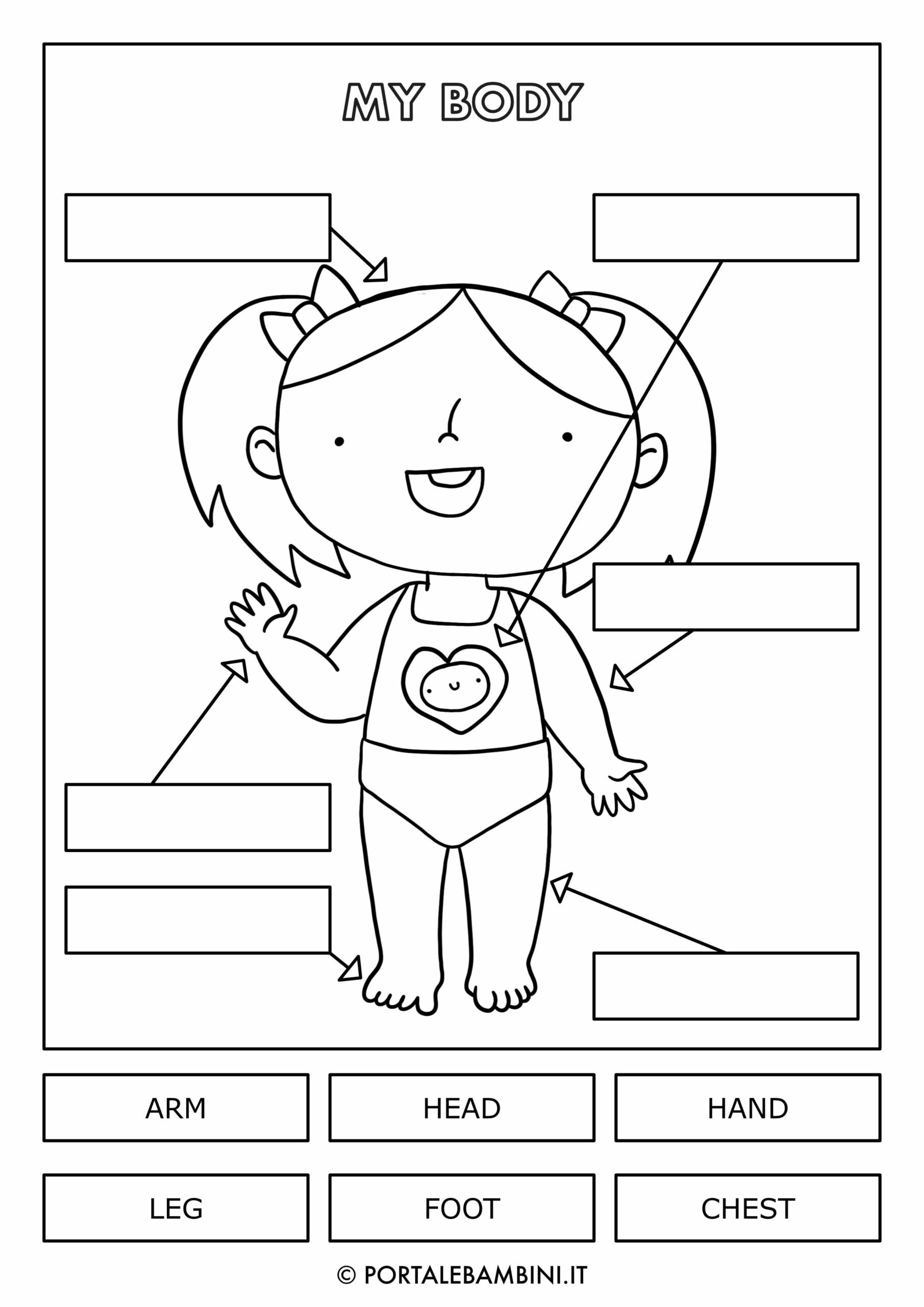 Parti del Corpo in Inglese | portalebambini.it