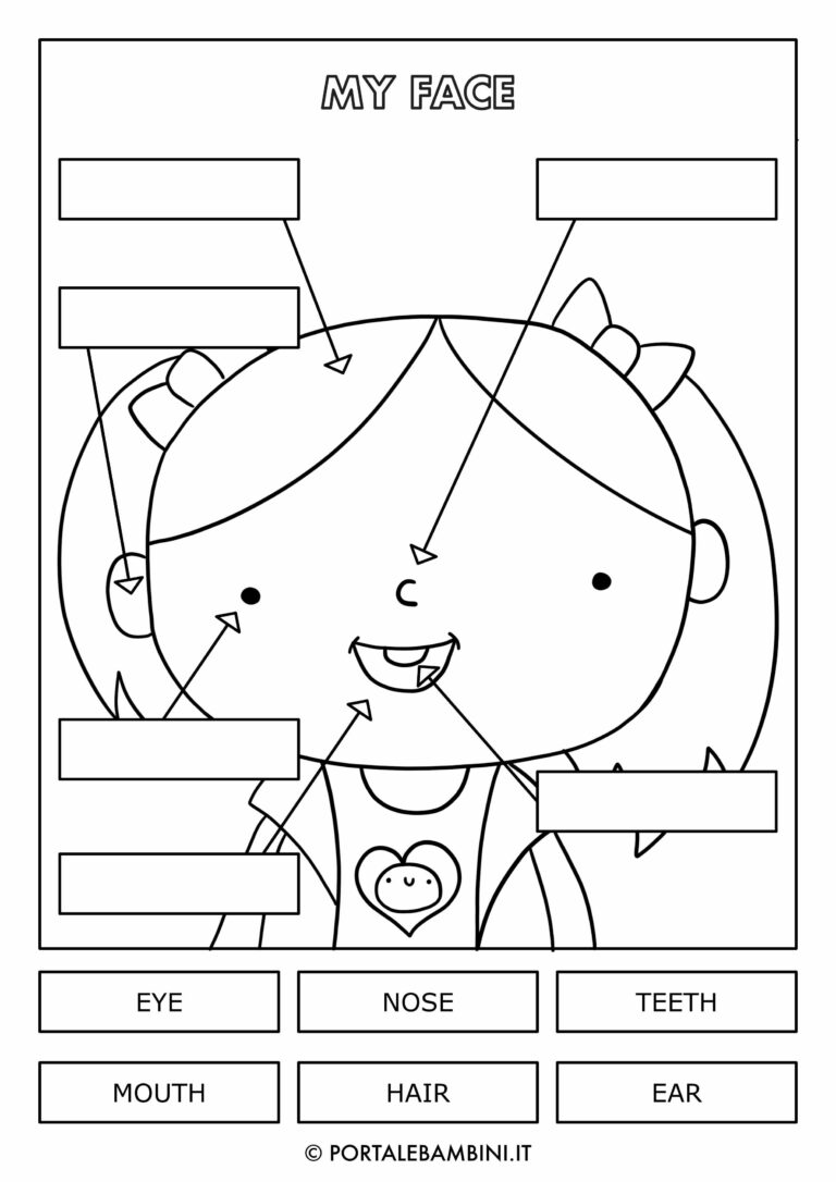 Parti del Corpo in Inglese | portalebambini.it