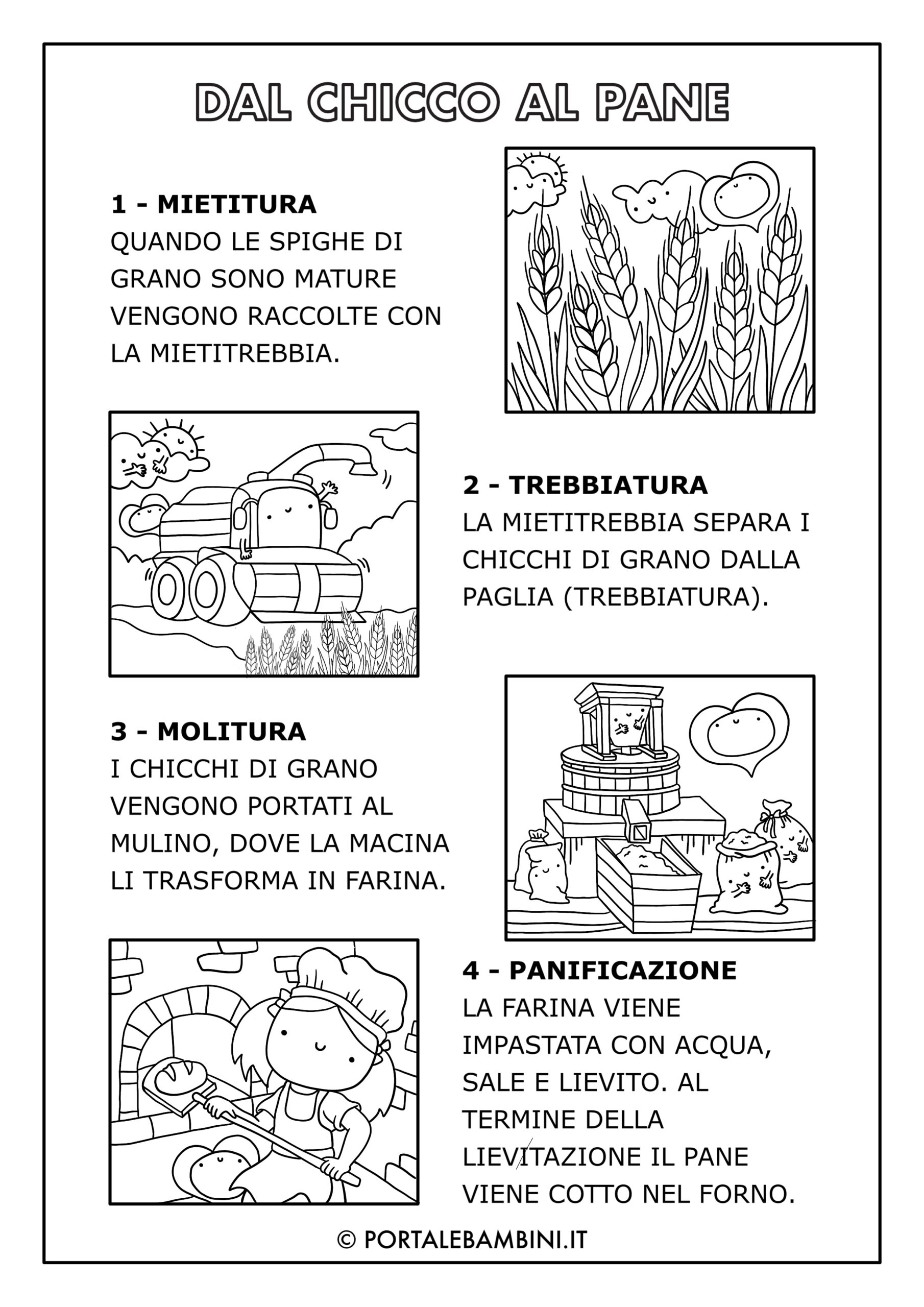 Dal Chicco al Grano | portalebambini.it