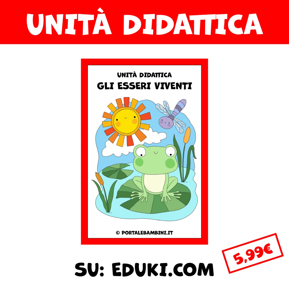 Complemento di Argomento (Frasi e Esercizi)