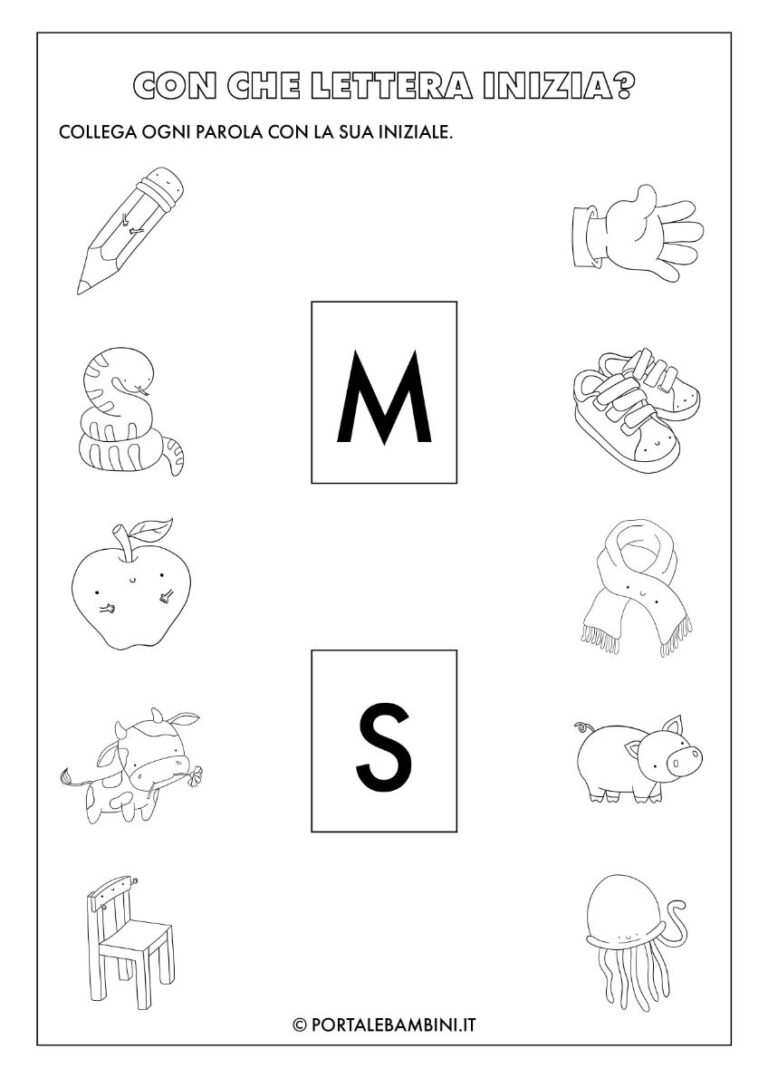 Parole con la S + Schede sulla S