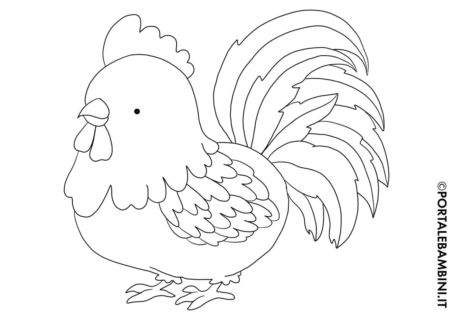 Disegni Galline da Colorare - Stampa Gratis