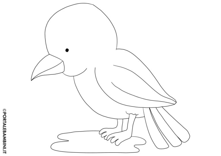 Corvi da Colorare (stampa gratis) | portalebambini.it