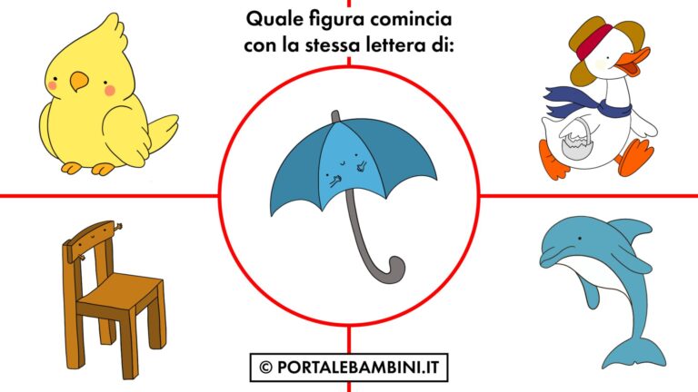 Parole con la O - Schede sulla O