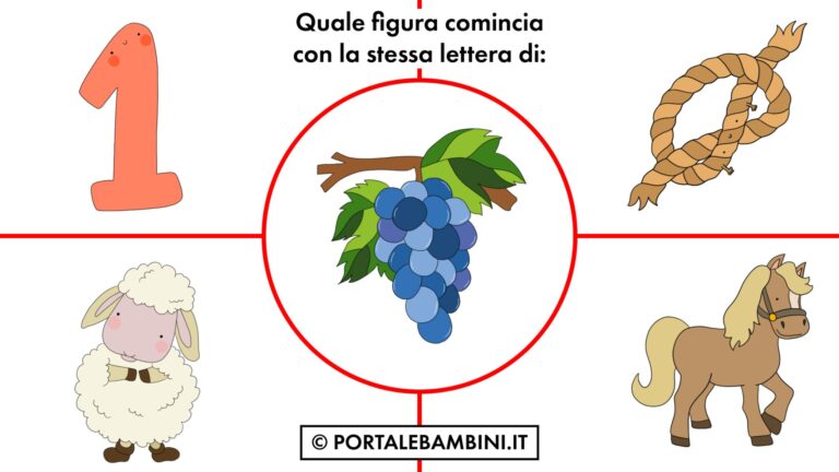 Parole con la U + Schede sulla U