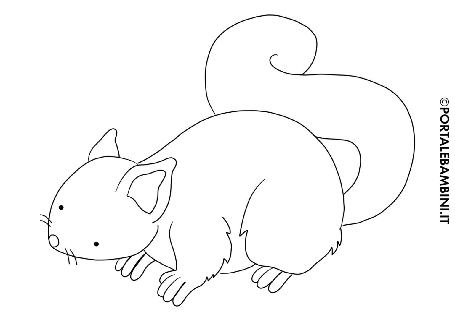 Disegni Ghiro da Colorare - Stampa gratis