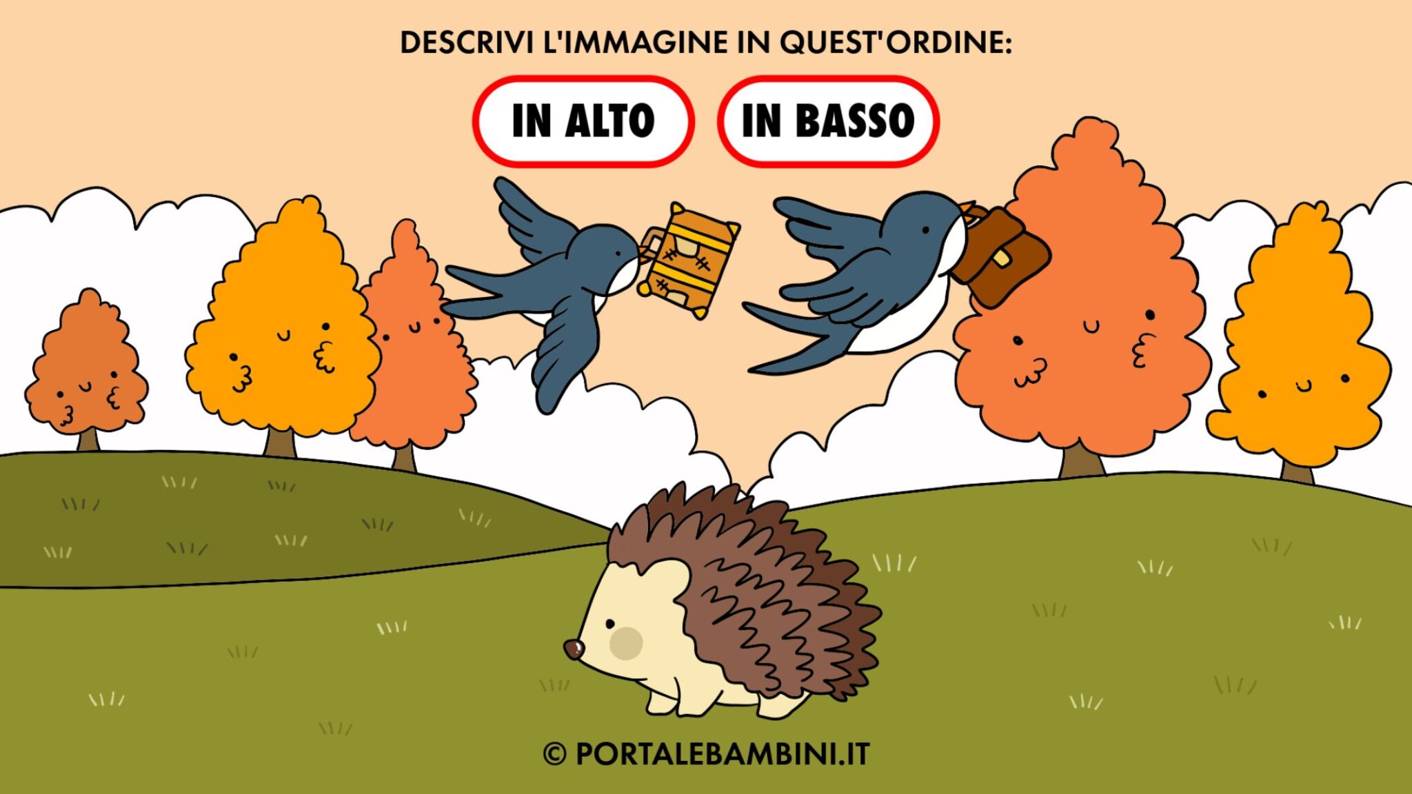 Concetti Topologici o Indicatori Spaziali