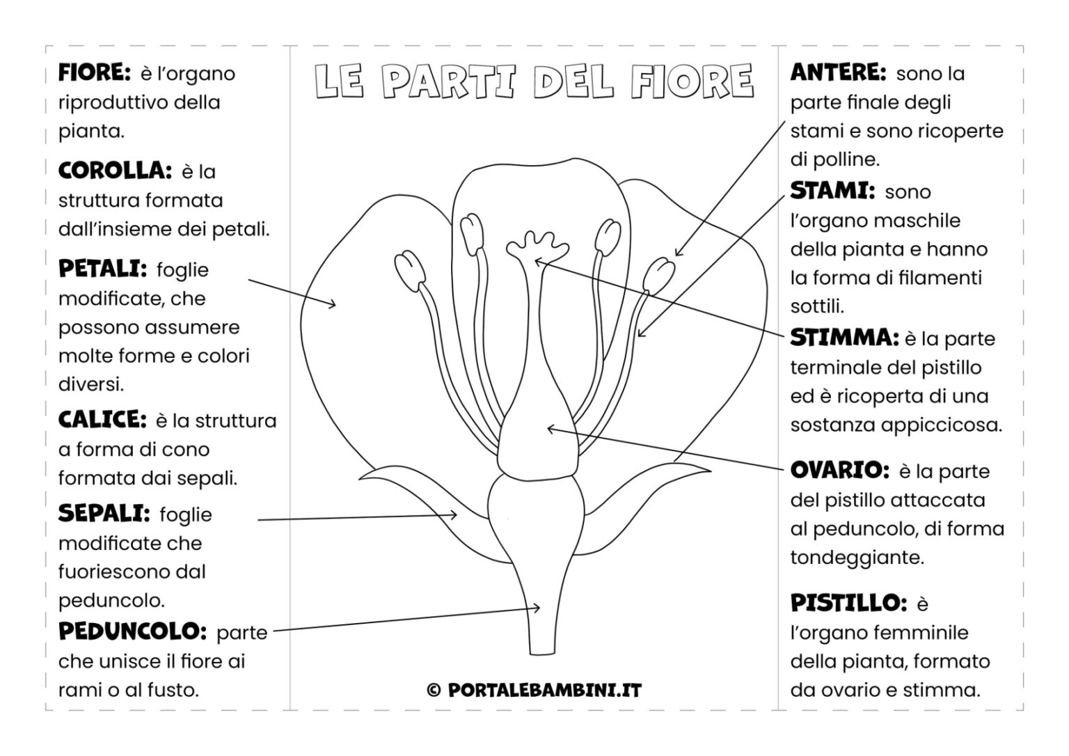 Le Parti del Fiore (con Lapbook)