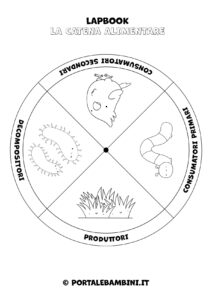 La Catena Alimentare