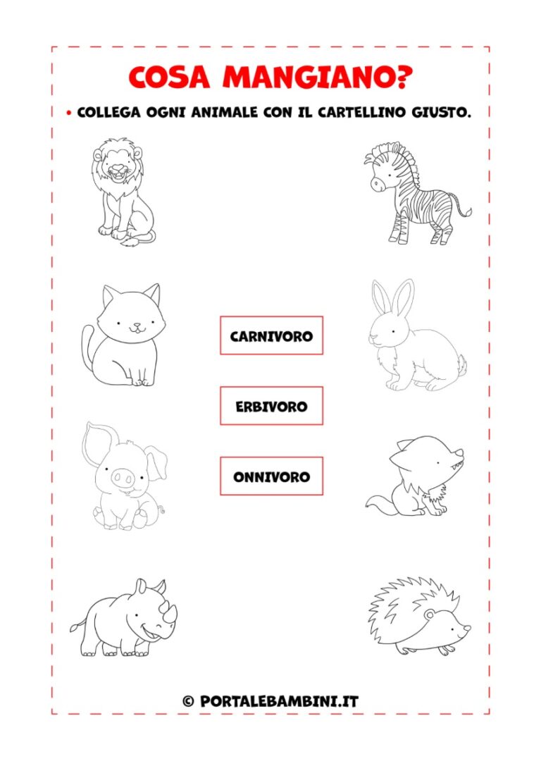 Animali Carnivori, Erbivori e Onnivori