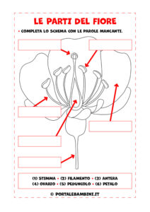 Le Parti del Fiore (con Lapbook)